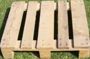 Paleti, Comelectro Import Export Srl