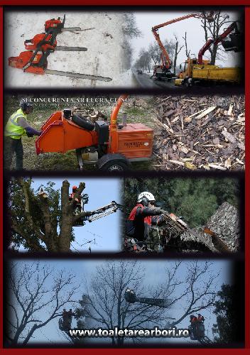 Toaletari Arbori, Giros Construct Srl