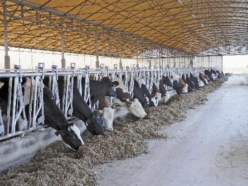 Ferma De Animale, Concept Airnature Srl