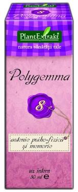 Polygemma nr 8 - Astenie Psiho-Fizica si Memorie | Gama Polygemma
