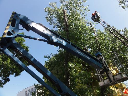 Toaletari Arbori, Giros Construct Srl