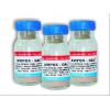 Vaccin Pasari Avipox Gal, Romvac Company Sa