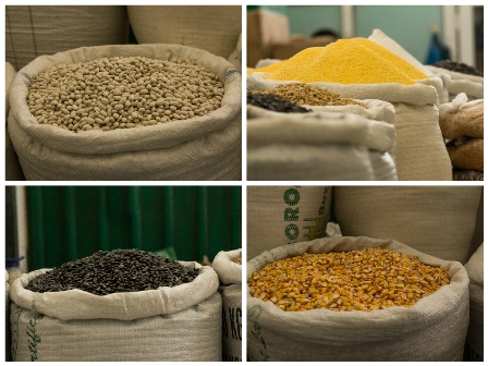 Saci din rafie (PP) | Saci/Ambalaje polipropilena ( rafie )