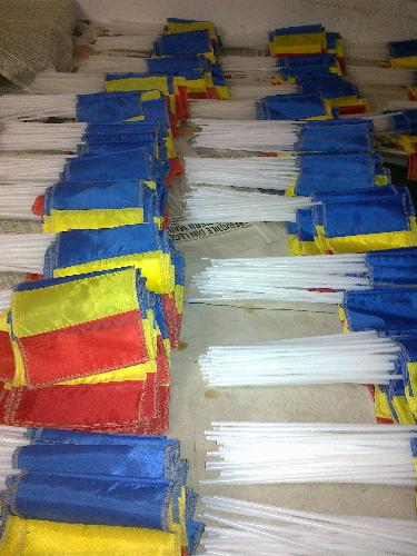 Steag Romania | Steag Romania