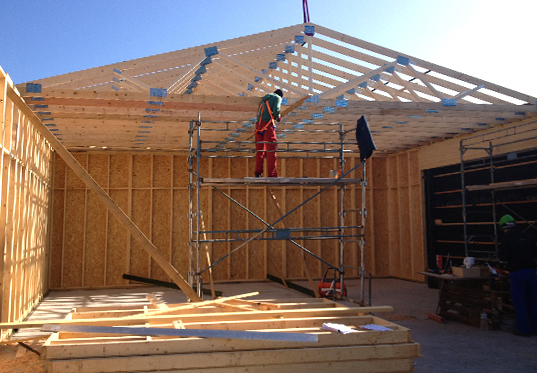 sarpante lemn | case lemn