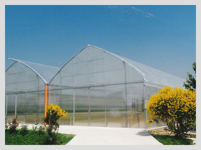 Solarii profesionale | agricultura