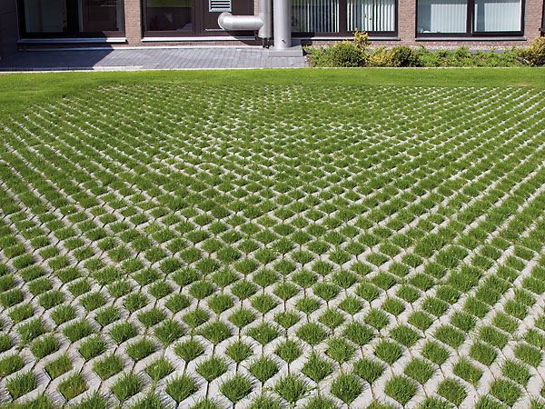 Dale Inierbate - 4 oferte de la o firma