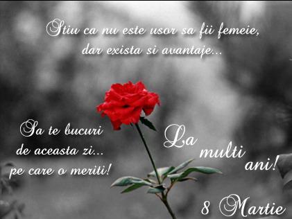 Felicitari personalizate | Produse