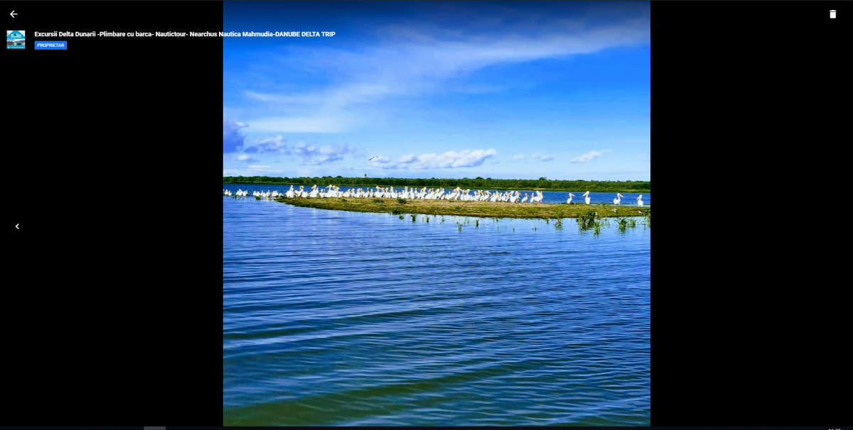 Plimbare Cu Barca In Delta Dunarii Din Mahmudia Sau Tulcea, Sc Armmad ...