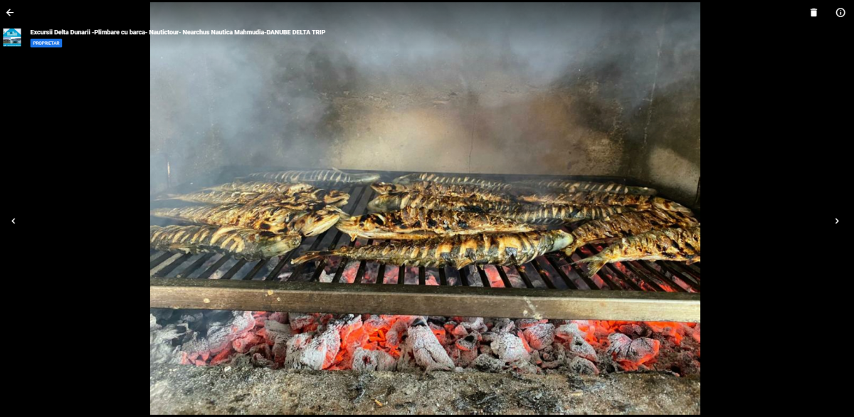 Plimbare Cu Barca In Delta Dunarii Din Mahmudia Sau Tulcea, Sc Armmad ...