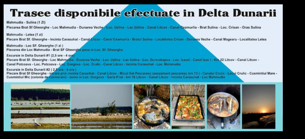 Preturi Excursii In Delta Dunarii, Furnizor, Sc Armmad Blue Srl ...