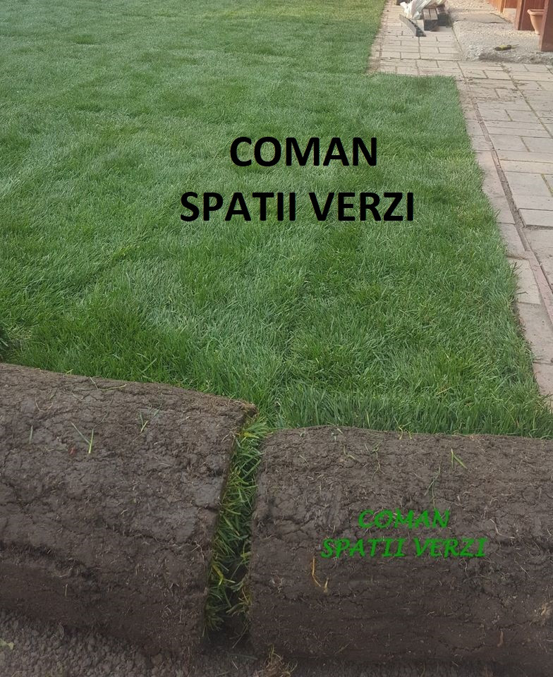 Rulouri de gazon natural | Rulouri gazon