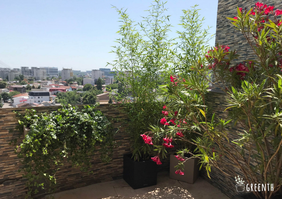 Proiectare Si Amenajare Gradini (exterior/interior), Furnizor, Greenth ...