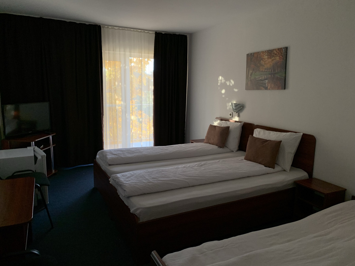 Cazare Echipe Muncitori. Situata In Directia Deva., If Bibart 1 Panorama