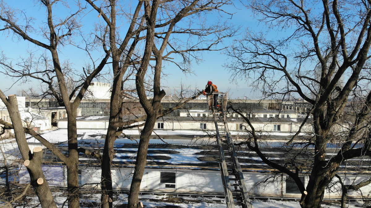 Toaletari Arbori Cu Nacela, Industrial Painting Acces Srl