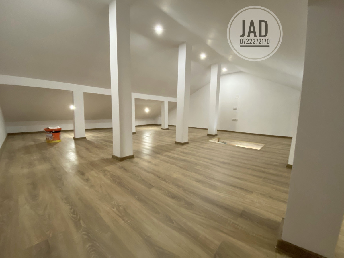 Amenajari mansarde - poduri case, gips carton, rigips | Amenajari ...