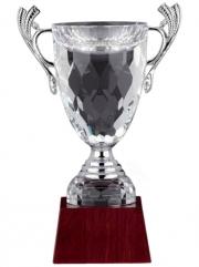 Trofee, Cupe, Medalii, Producator, Trofee, Cupe, Medalii Furnizor, Sian ...