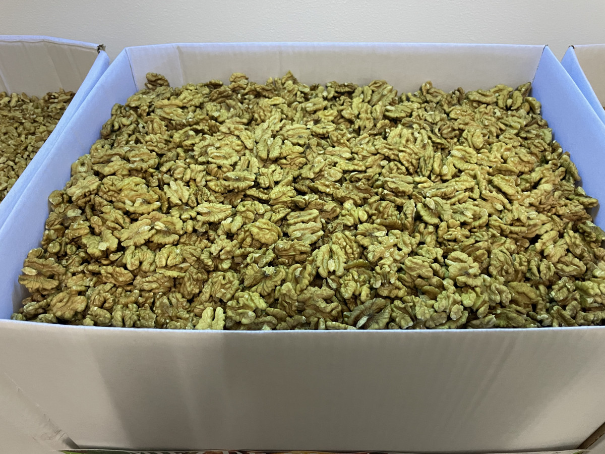 Miez De Nuca Procesat Mecanic 2023, Producator, Sc Moldo-nuts Srl