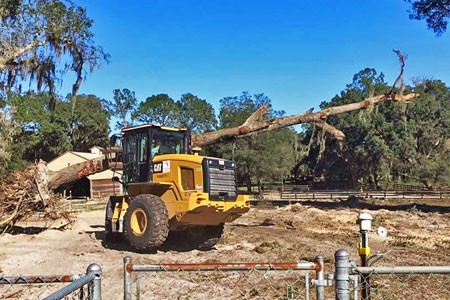 Oferim Servicii Defrisari/curatari Terenuri, Cu Utilaje Specializate ...