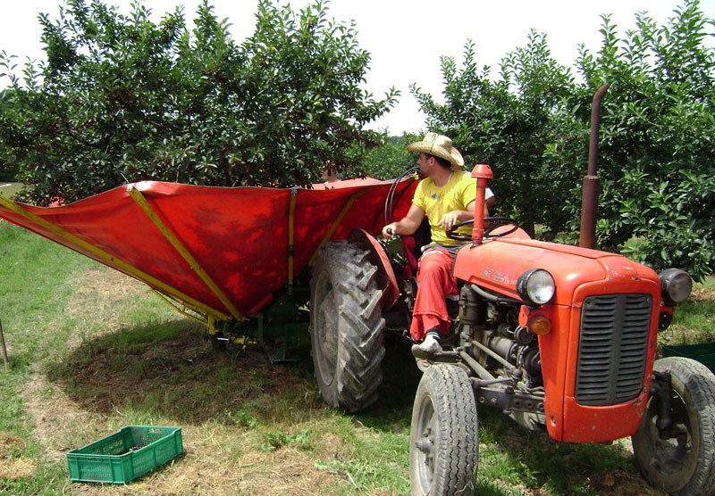 Utilaj Pentru Recoltat Fructele-prune, Cirese ,visine , Alune,nuci, Sc ...