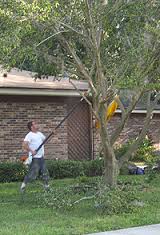 Toaletari Arbori, Perfect Style Srl