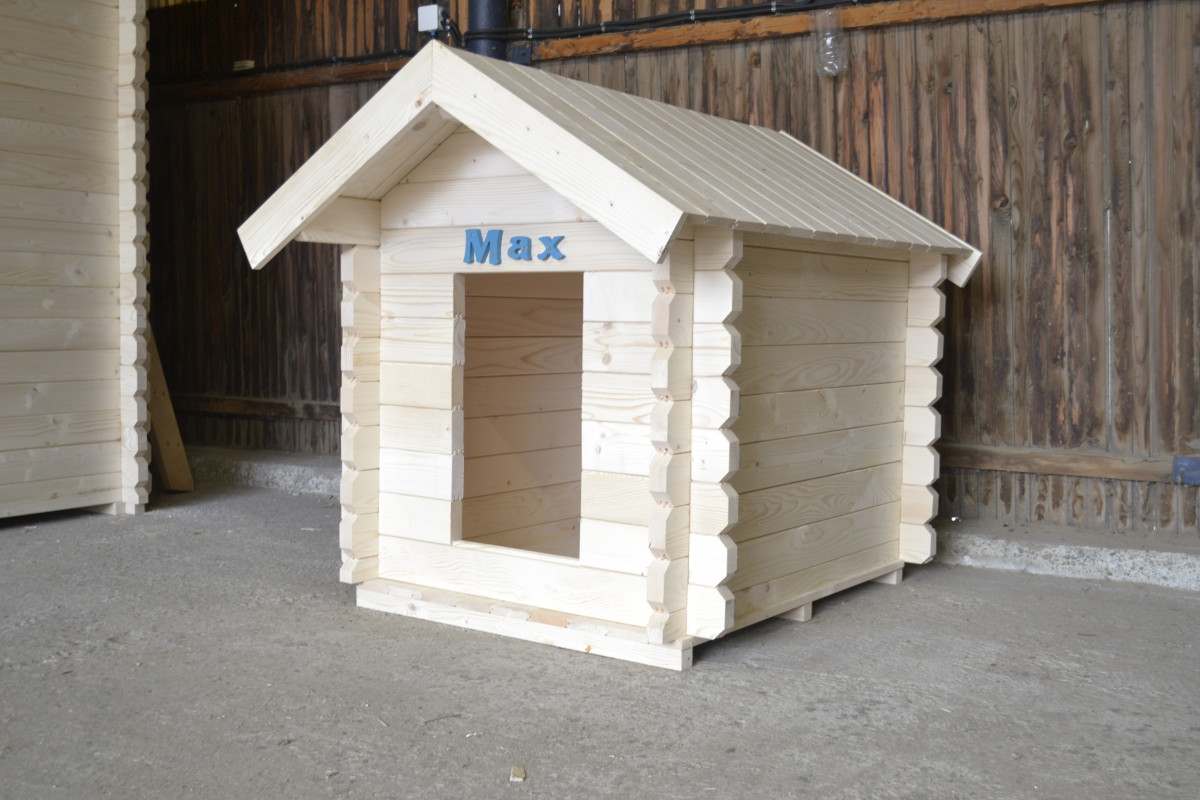 Cusca De Caine, Producator, Sc Toto Invest Srl