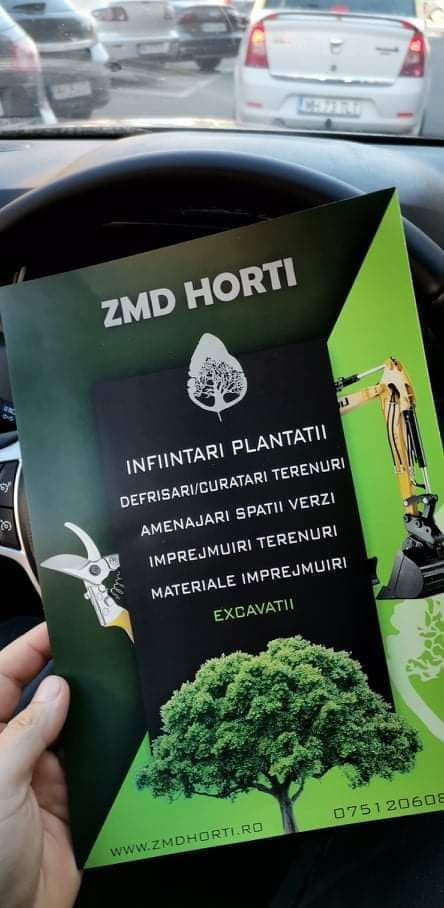 Amenajari spatii verzi , curti | Amenajari spatii verzi