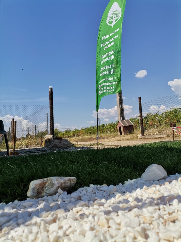 Amenajari Spatii Verzi , Curti, Sc Zmd Horti Srl