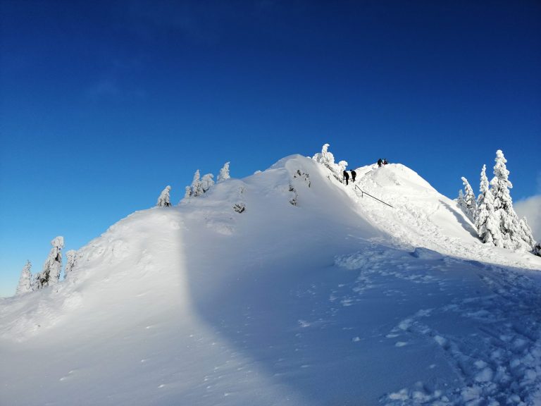 Varful Postavaru (1799m) in prima zi a anului